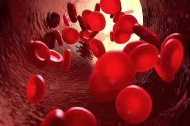 Low Hemoglobin Levels: Causes & Symptoms
